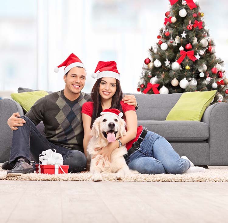 2016 Gift Ideas For Dog Lovers All Under 20 Dog Training Nation 2016-gift-ideas-for-dog-lovers-all-under-20-dog-training-nation