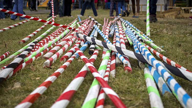 DIY Cavaletti Course For Dogs | Dog Training Nation